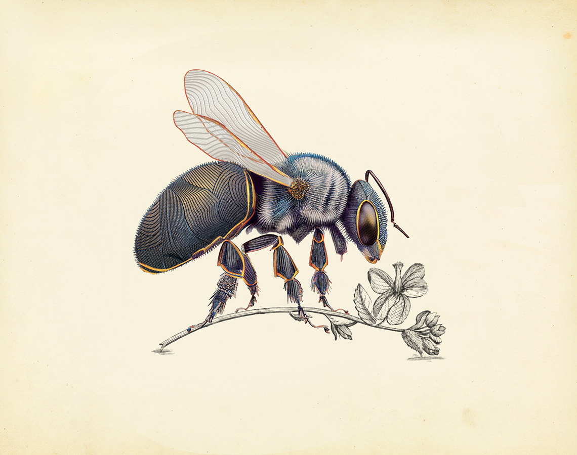 Experience A Life Extraordinary - Moooi