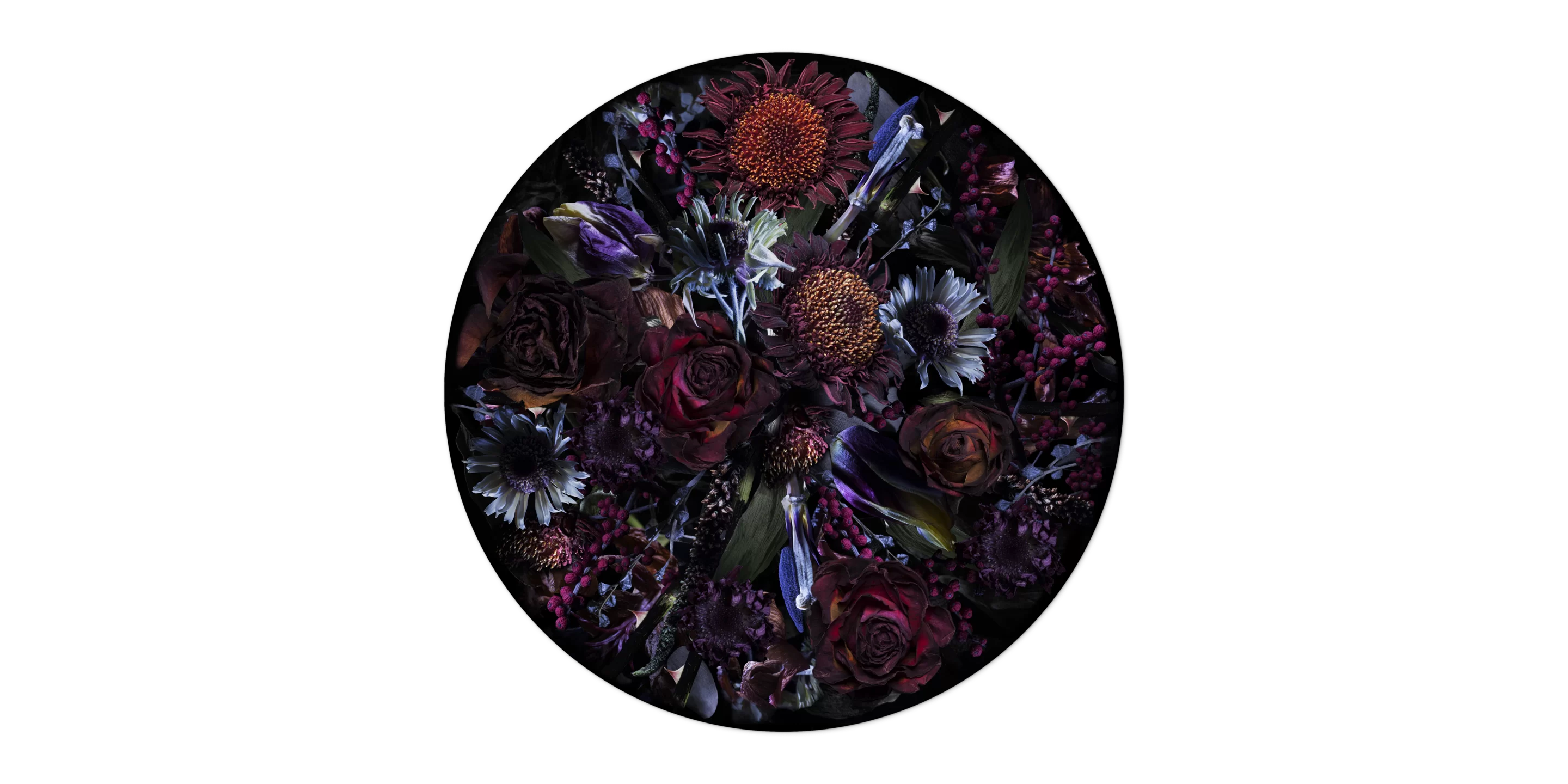 Marcel Wanders - Moooi