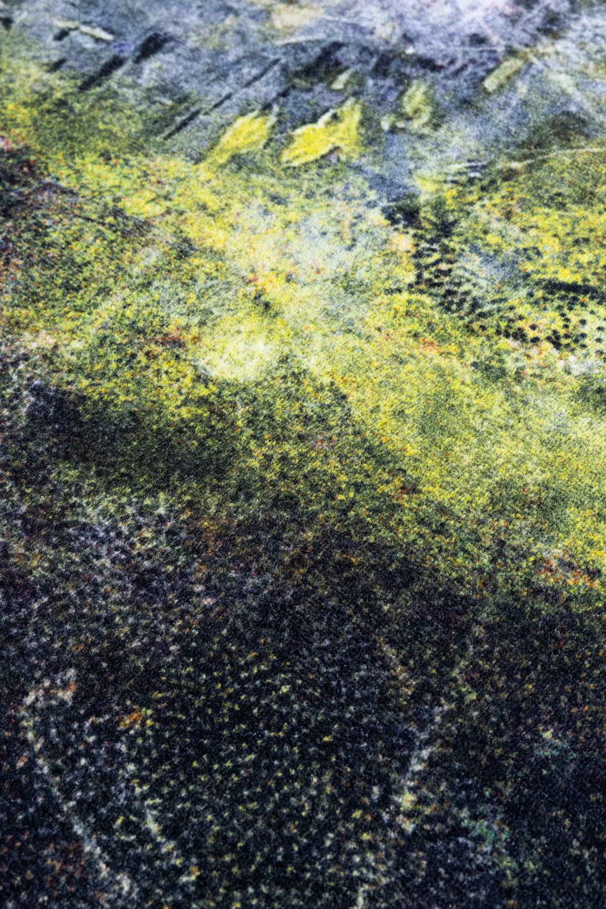 Forest Floors Carpet