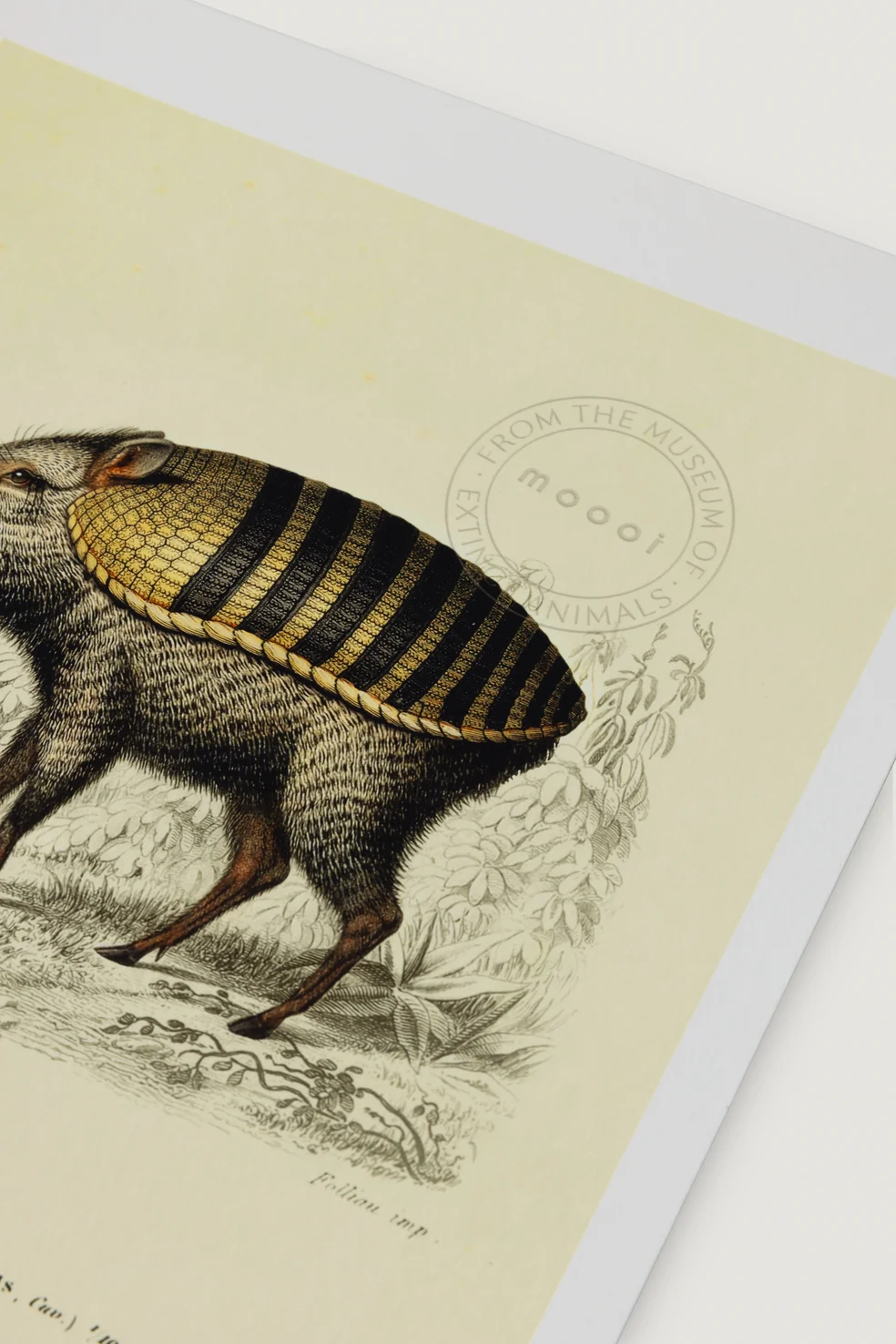 Extinct Animals Print - Moooi