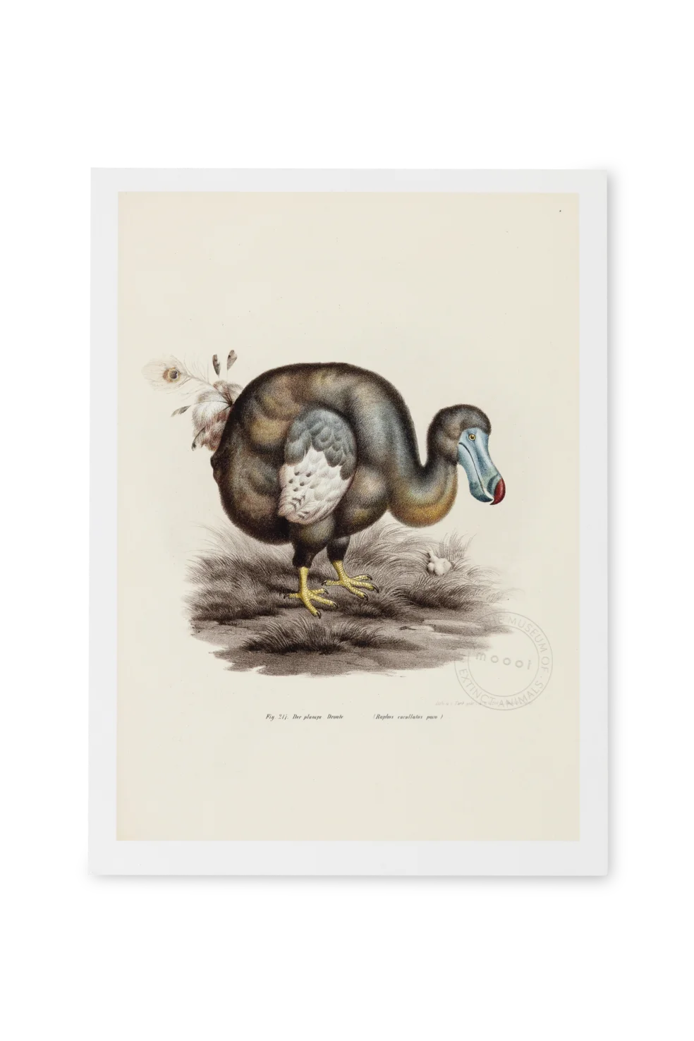 Extinct Animals Print - Moooi
