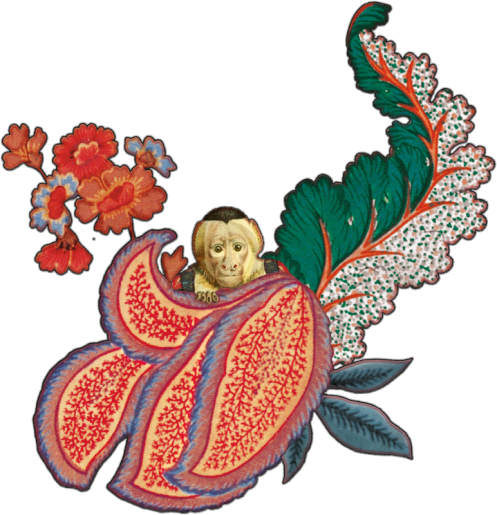 A Life Extraordinary - Moooi